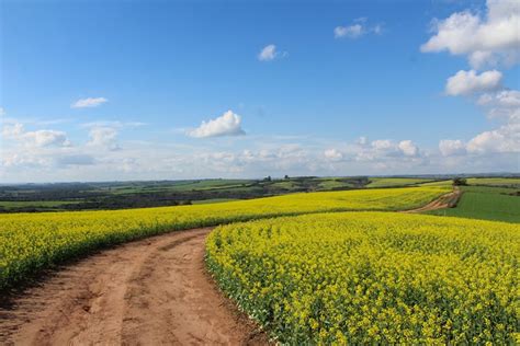 Lazy Jack The Story Museum