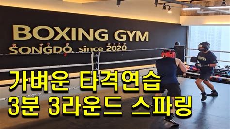 3분3라운드 첫 스파링 연습서로 밀리지 않으면서 가볍게 치기 검정색 헤드기어 나 모든 기본은 가드 Youtube
