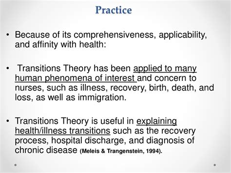 Transitions Theory Afaf Meleis
