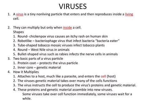 PPT VIRUSES PowerPoint Presentation Free Download ID 2870692