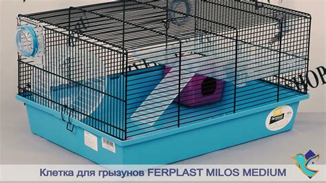 Клетка для хомяков и грызунов Ferplast Milos Medium (Ферпласт Милос ...