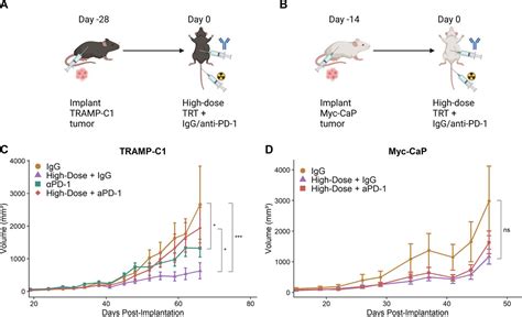 Antitumor Efficacy Of 90y Nm600 Targeted Radionuclide Therapy And Pd 1