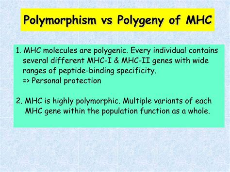 Ppt T Cell Receptor Tcr And Mhc Complexes Antigen Presentation