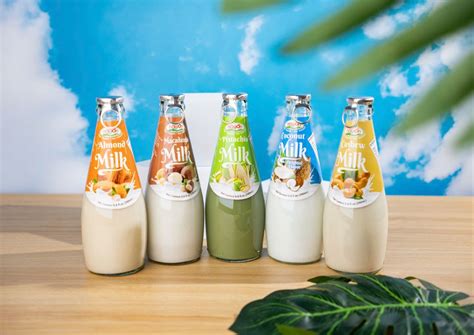 Free Sample Available 320ml Milk Soda Original Flavor Low Sugar Added