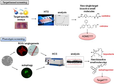 Figure 1 From Identification And Validation Of Bioactive Small Molecule