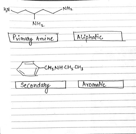 Solved Classify Each Of The Following Amines As 1 Primary