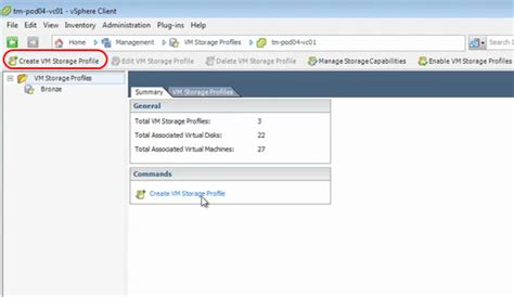 Виртуализация Vmware Vsphere Storage Drs и Profile Driven Storage
