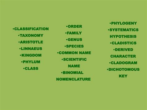 Ppt Phylogeny Systematics Hypothesis Cladistics Derived Character