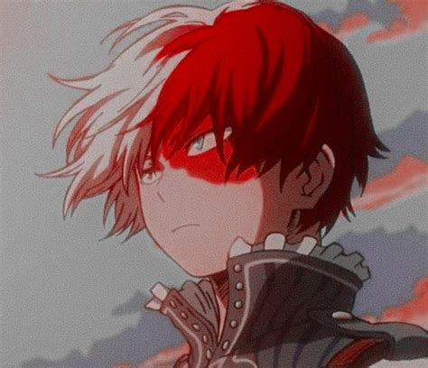 View 14 Shoto Todoroki Pfps Billeawasuse