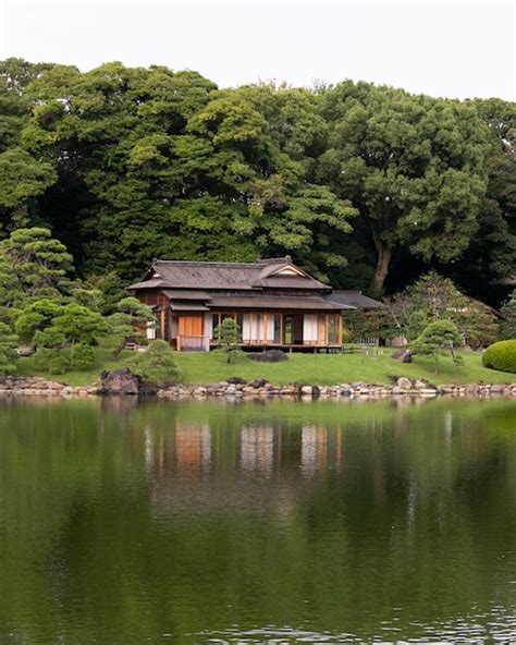 Chashitsu Images Free Download On Freepik