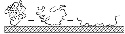 Re Conformation Of An Adsorbed Polymer Chain From First