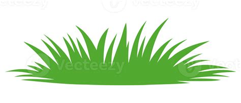 Green Grass Illustration 45721990 Png