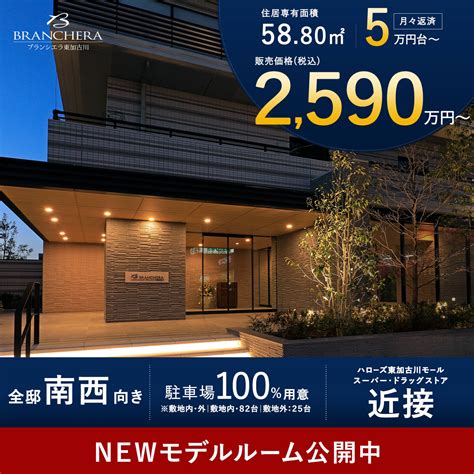 加古川市内を走る神姫バスのルートをまとめました！【加古川駅・土山駅・東加古川駅発着】 かこがわノート