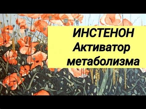ИНСТЕНОН 💊 Отзывы врачей разных специальностей ⚕ Неврология. - YouTube