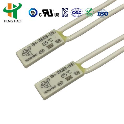Bw Ecp Bw Ecm Temperature Protector Switch Bw Bcm Controller Bimetallic
