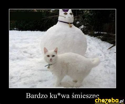Bardzo śmieszne ChoZoba pl śmieszne obrazki gify filmy