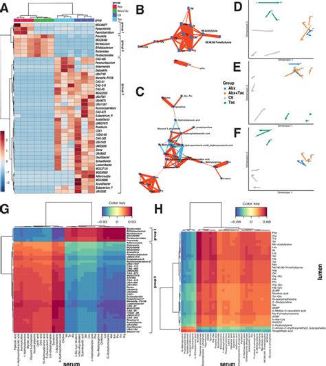 correlations between luminal and circulating metabolome a