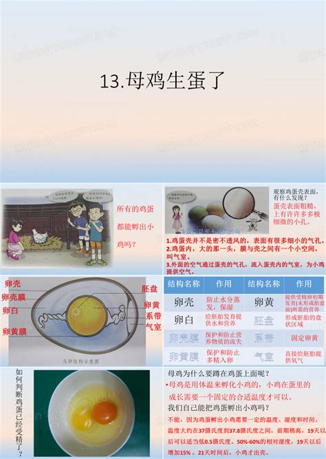 母鸡生蛋了PPT模板下载 编号qojyejwl 熊猫办公