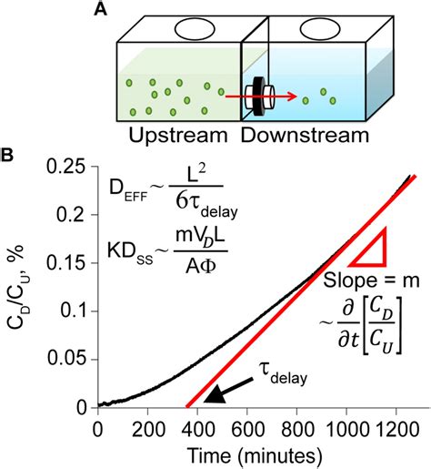 Non Equilibrium Diffusion Transport Of Solutes In Np A Custom