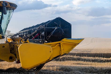 현대 결합 수확기에 의해 여름철에 밀 수확 식량 공급을 확보하고 국가를 먹여 살리는 농민 식량 안보에 대한 스톡 사진 및 기타 이미지 식량 안보 영국 농작업 Istock