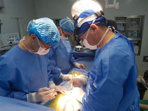 УГТЭ Эмч нар Люксембургийн зочин профессорын багтай хамтарч зүрх судасны нарийн мэс заслуудыг