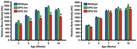 Opg Ko Mice Display Lower Posterofrontal Suture Density Download