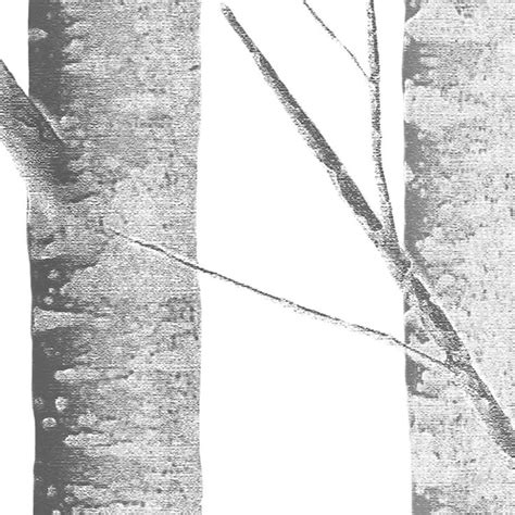Birch Tree Wallpaper Birch Tree Wallpaper Tree Wallpaper Bedroom