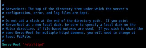 리눅스 Apache아파치 Nf 파일