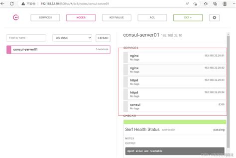 docker容器consul部署 consul docker部署 csdn博客