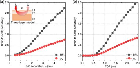 Interferometric Diffuse Optics Recent Advances And Future Outlook