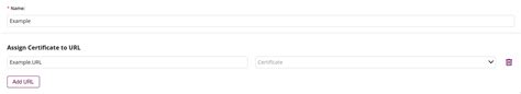Certificate Mapping Proget Documentation