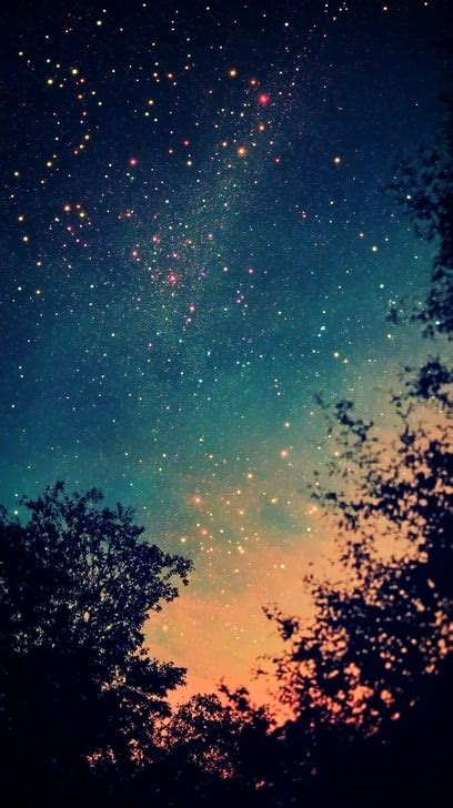 Free Starry Night Sky Image Stars Night Trees Download At Stockcake