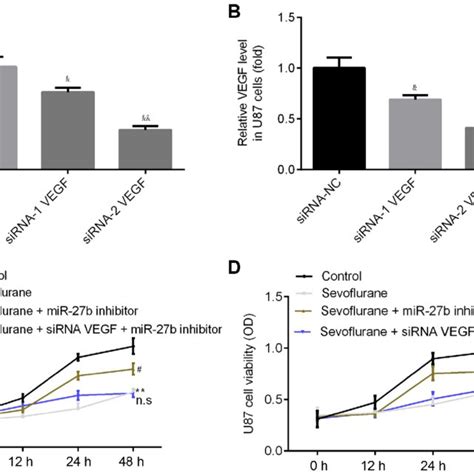 Sevoflurane Induced Inhibition Of Glioma Cell Proliferation Is Mediated