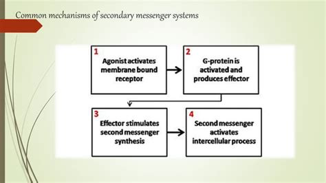 Second Messenger System Pptx
