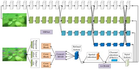 underwater target detection based on parallel high resolution networks