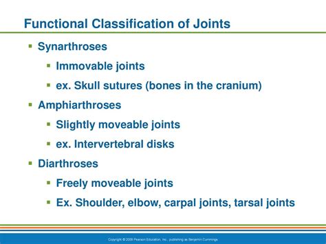 The Skeletal System Ppt Download
