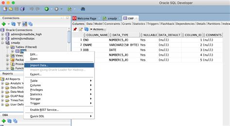 Jaffar S Mr RAC Oracle Blog Migration Methods To Autonomous Database ADB Part III SQL
