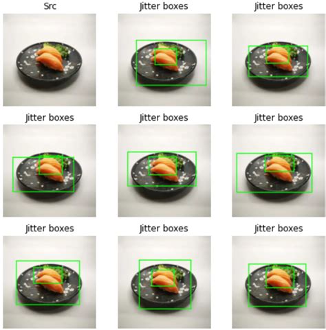 Visualization Of Image Augmentation Techniques Modellist