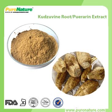 Pueraria Extract/Kudzu Root - Xi'an PuroNature Biotechnology Co.,Ltd