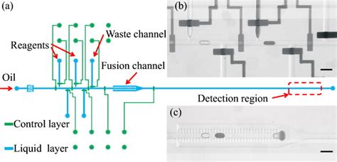 Valve Based Microfluidic Device For Droplet On Demand Operation And Static Assay Applied
