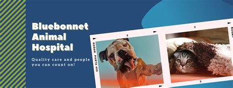 Bluebonnet Animal Hospital Austin Tx