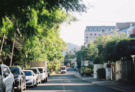 자동차가 줄지어 있는 햇살 가득한 주거 거리 · 무료 스톡 사진