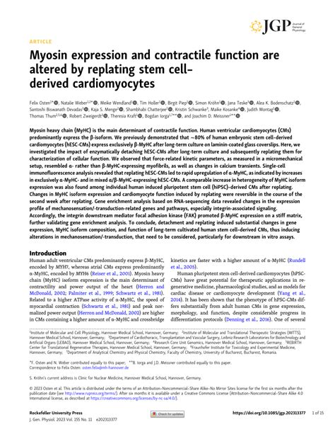 Myosin Expression And Contractile Function Are Altered By Replating