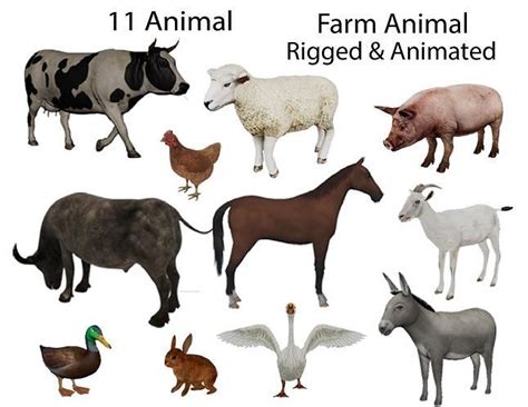 3D model 11 Farm - Domestic Animal Models Pack Low-poly VR / AR / low-poly | CGTrader