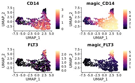 Trajectory And Pseudotime Analysis • Seuratextend