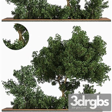 Download Garden Set Grass Tree Model 3drgbs