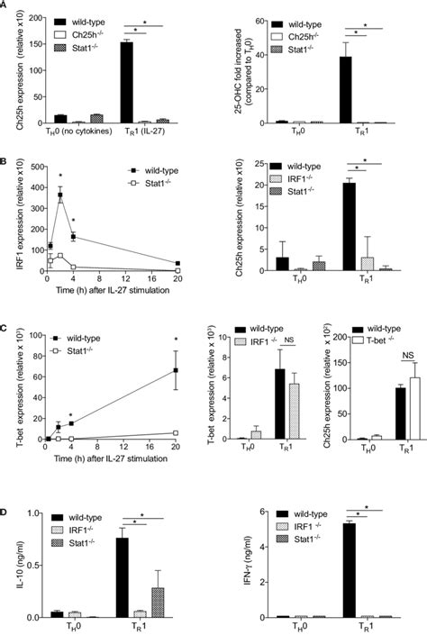 The Transcription Factors Stat1 And Interferon Regulatory Factor 1