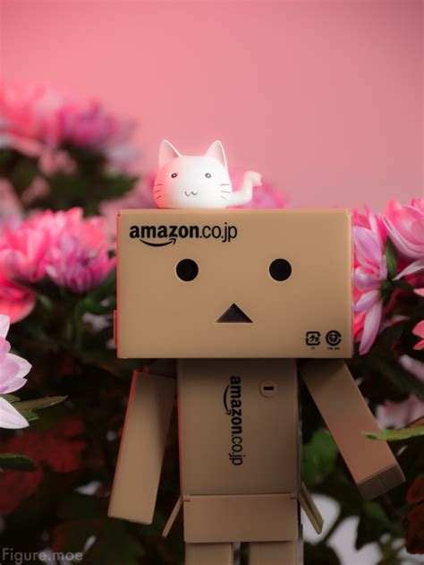 Danbo Forest Happy Birthday Kixkillradio Figuremoe