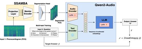 论文评述 Exploring Finetuned Audio Llm On Heart Murmur Features