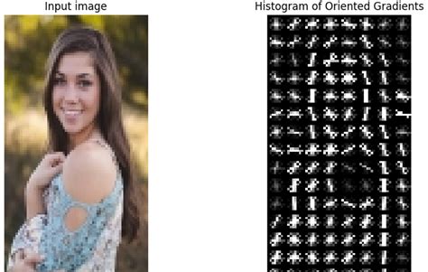 histogram of oriented gradients